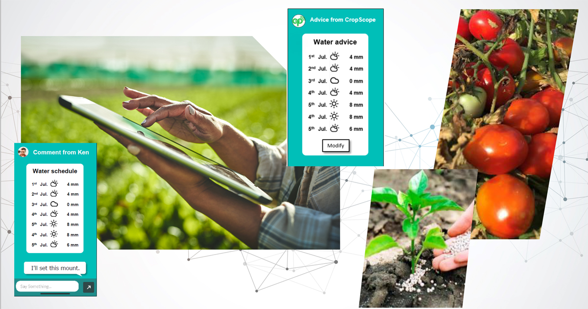 デジタルで拓くサステナブルな農業の未来 ～加工用トマト栽培の変革を目指すカゴメとNECの挑戦～